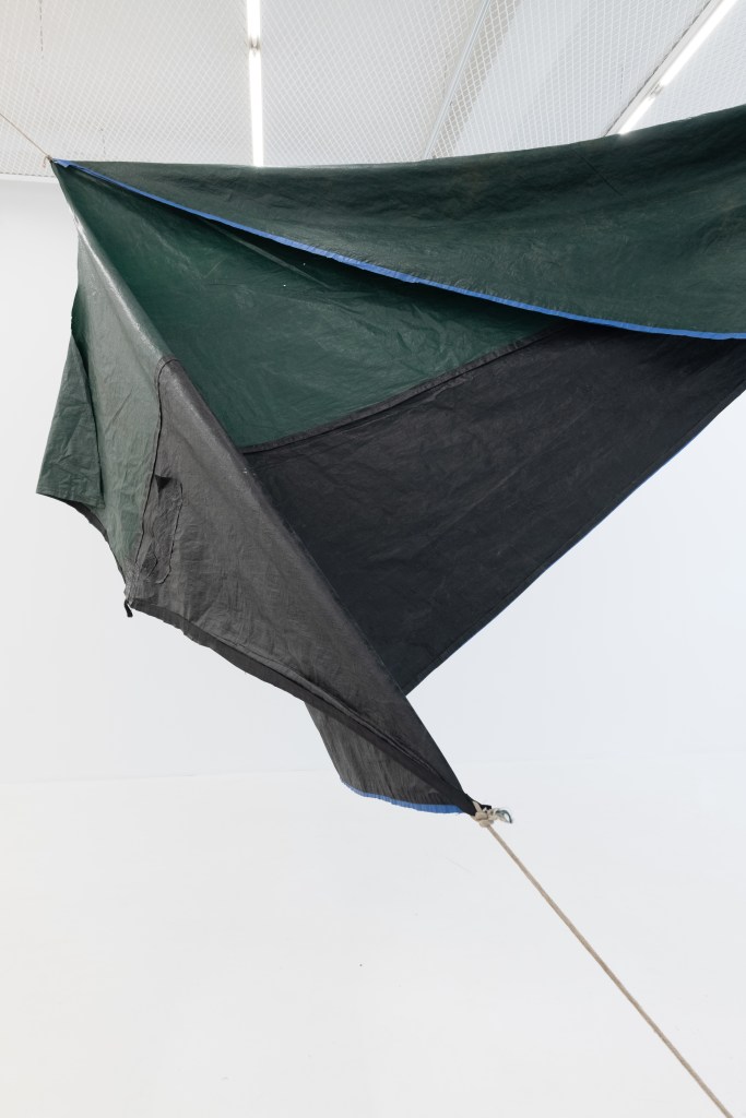 allan-weber-1992-sem-ttulo-untitled-2024_53588036305_o – Philos